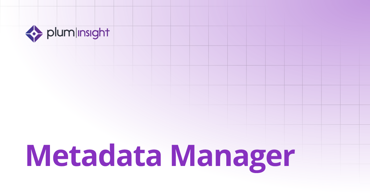 Metadata Manager | Plum Insight Documentation