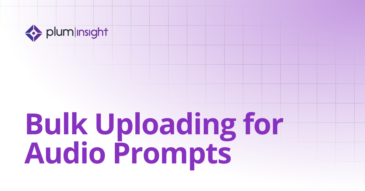 Bulk Uploading for Audio Prompts | Plum Insight Documentation